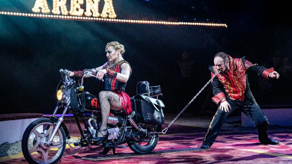 Stur stur cirkus - Out & About